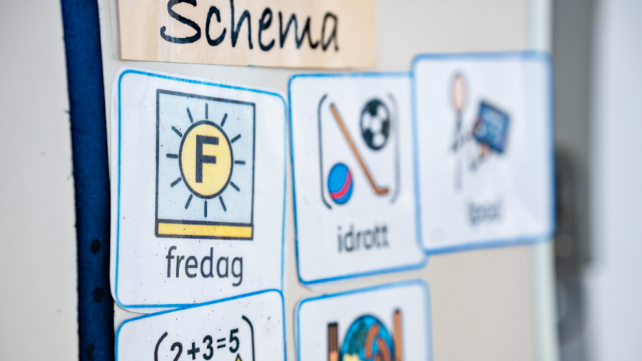 Moment 1 – Tydliggörande pedagogik i grundskolan